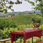Wine Regions of Slovenia - Sloveniaforyou's guide to vino in Slovenia