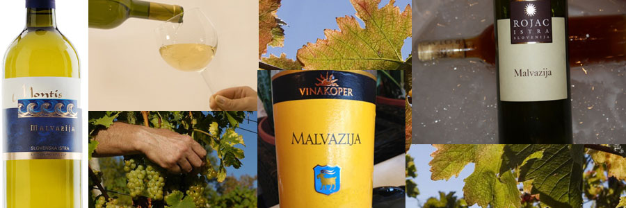 Wine Regions of Slovenia - Istra-Istria - Sloveniaforyou's guide to ...